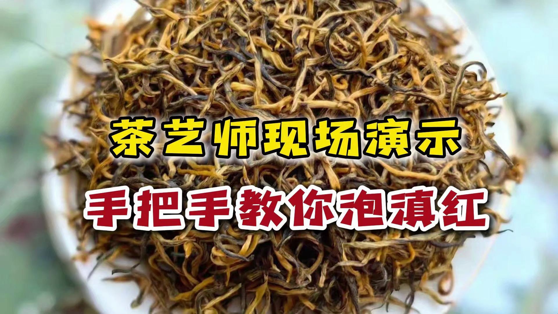 云南滇红怎么泡会更好喝?茶艺师现场演示,正确冲泡方式!