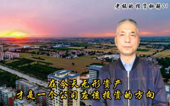在今天,无形资产才是一个公司应该投资的方向