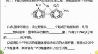 6《DNA的复制及基因的表达》