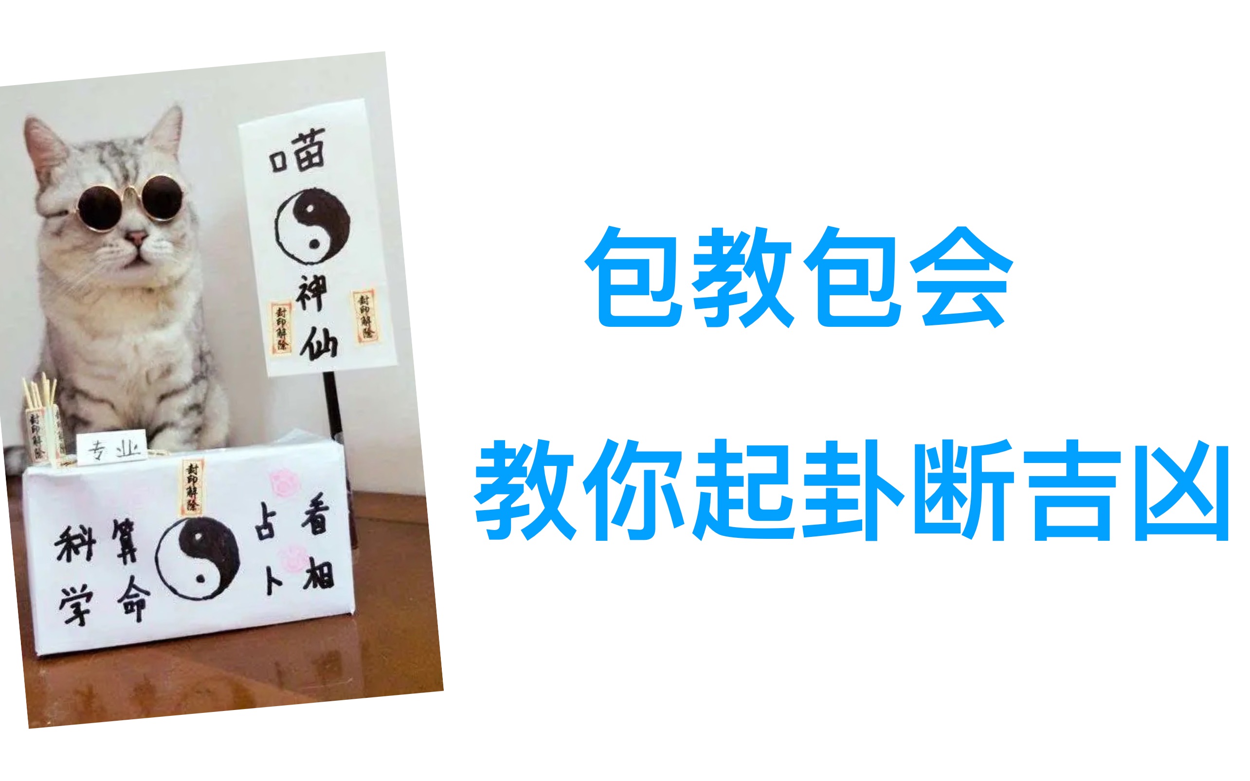 4分钟教你掐指一算