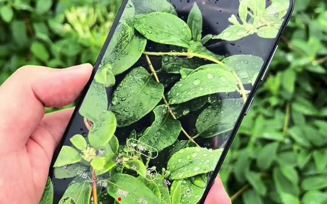 P70pro+这块屏幕应该是国产的最佳代表作了,通透度色彩还原都是一级...