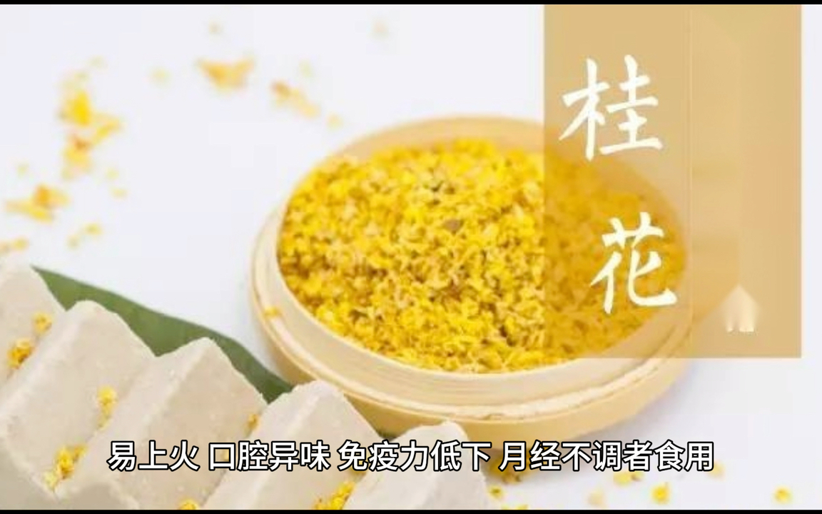 又是一年桂花烂漫时