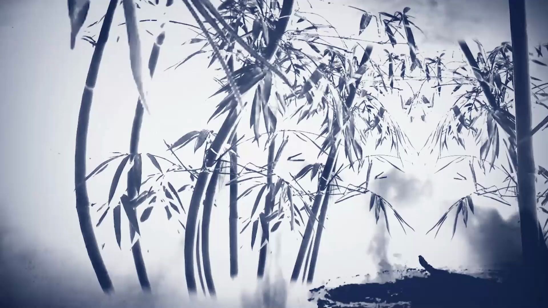 沧海一声笑表演背景视频