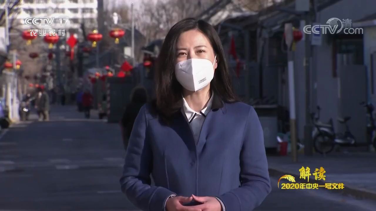 《乡村振兴资讯》202002102020年中央一号文件解读保障重要农产品...