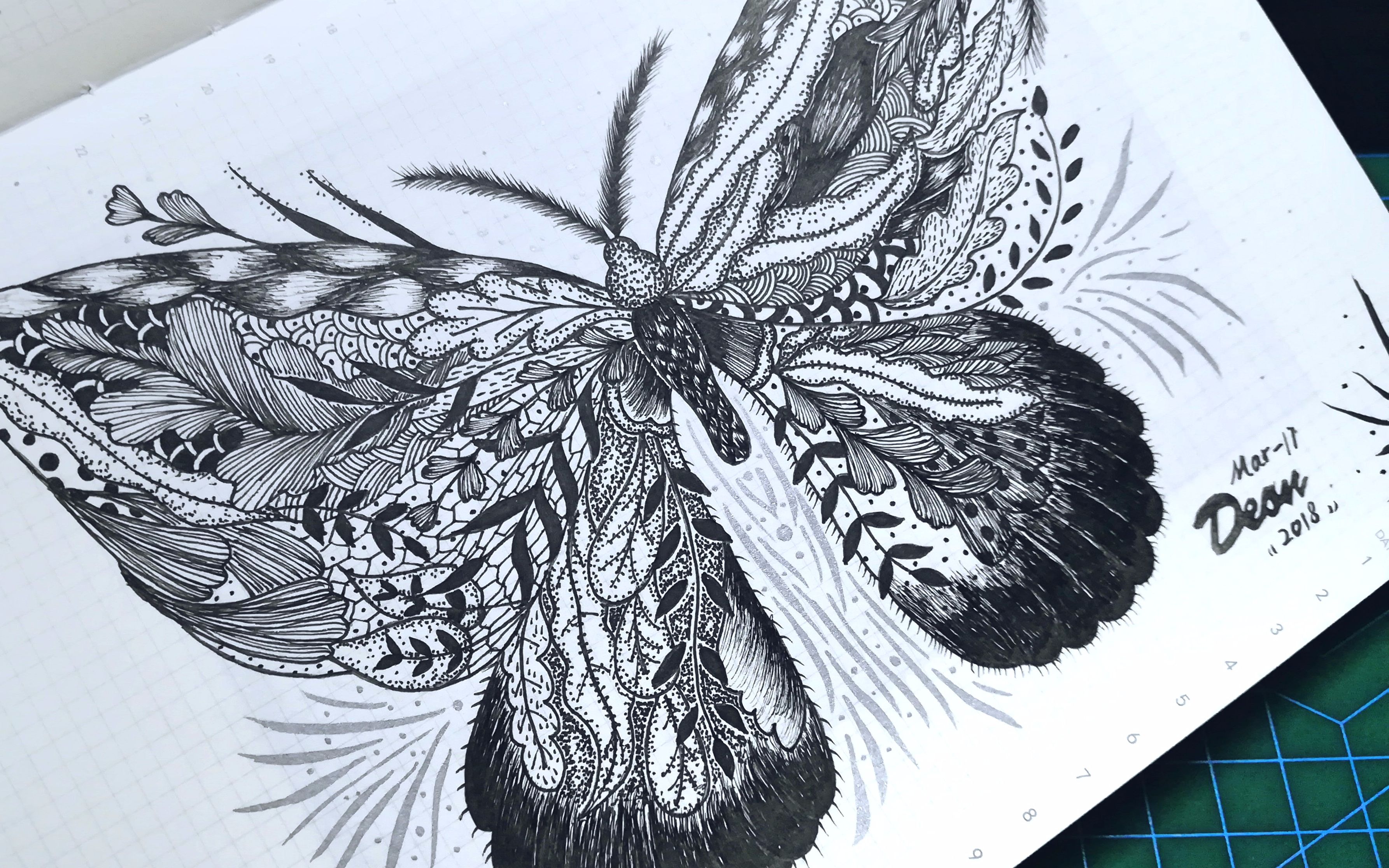 从简笔画到装饰画【第一期】