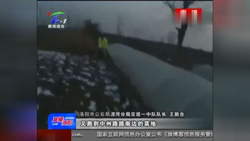 洛阳上演真实版荒野行动 警察蜀黍穿越高速公路追捕 顺利“吃鸡”