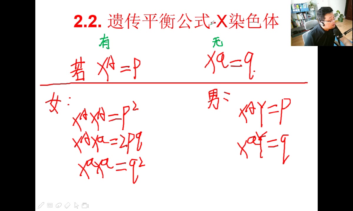 基因频率和遗传平衡公式运用