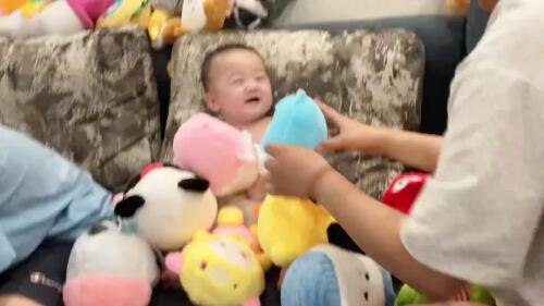 当妈的着实羡慕了 好想问问孩子 被毛绒娃娃包围了是一种什么体验