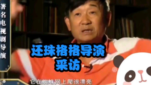 还珠格格导演采访:知道会火,但不知道这么火,导演拍得很用心,结合动作...