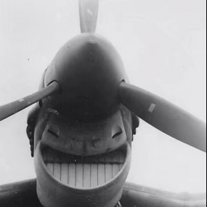 Zestium三三三二二二L 