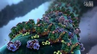 哈佛大学科教影片:细胞动力-线粒体_高清