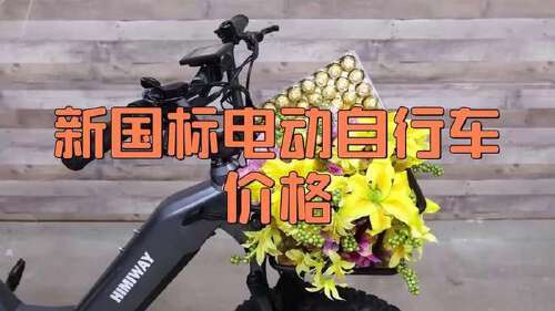 新国标电动车价格曝光!从千元到万元到底怎么选?