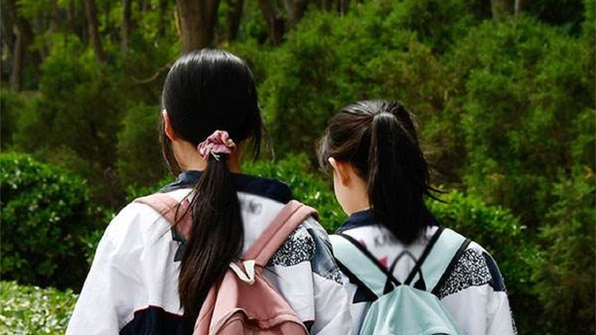 邢台:全市中小学幼儿园即日放假