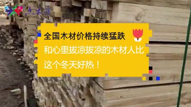 全国木材价格持续猛跌,和心里拔凉拔凉的木材人比,这个冬天好热