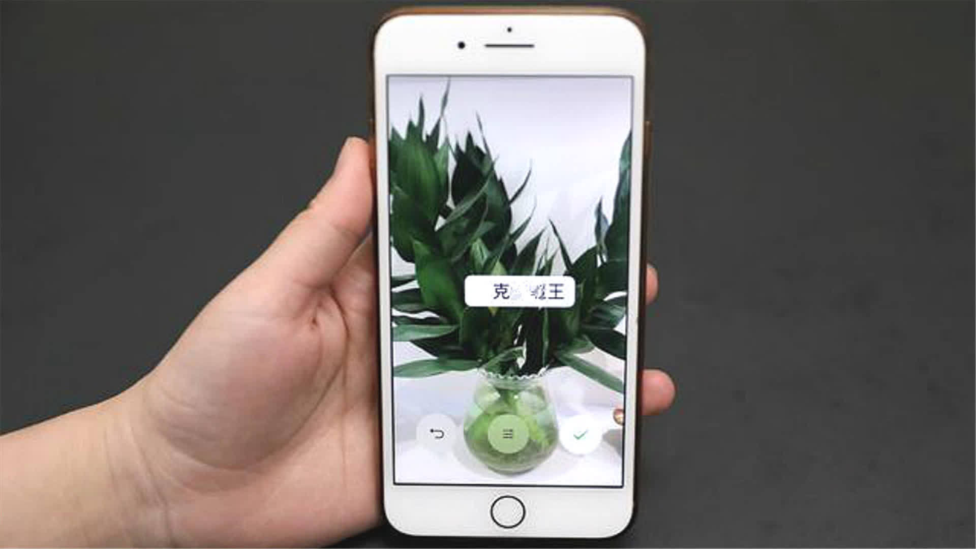 才知道,手机拍视频能添加字幕,简单方便,方法一看就能学会