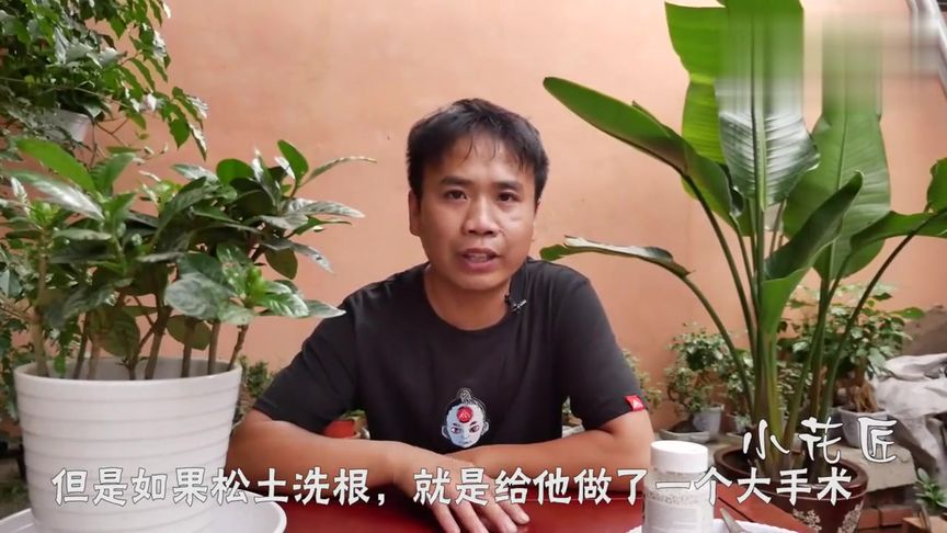 网上流传的,不靠谱养殖方法,新买植物,一定要洗根