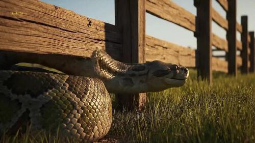 巨蟒太嚣张!草原牧场秒 1000 吨巨型蝗虫,虫尸盖草地!