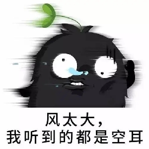 空耳狂馍 