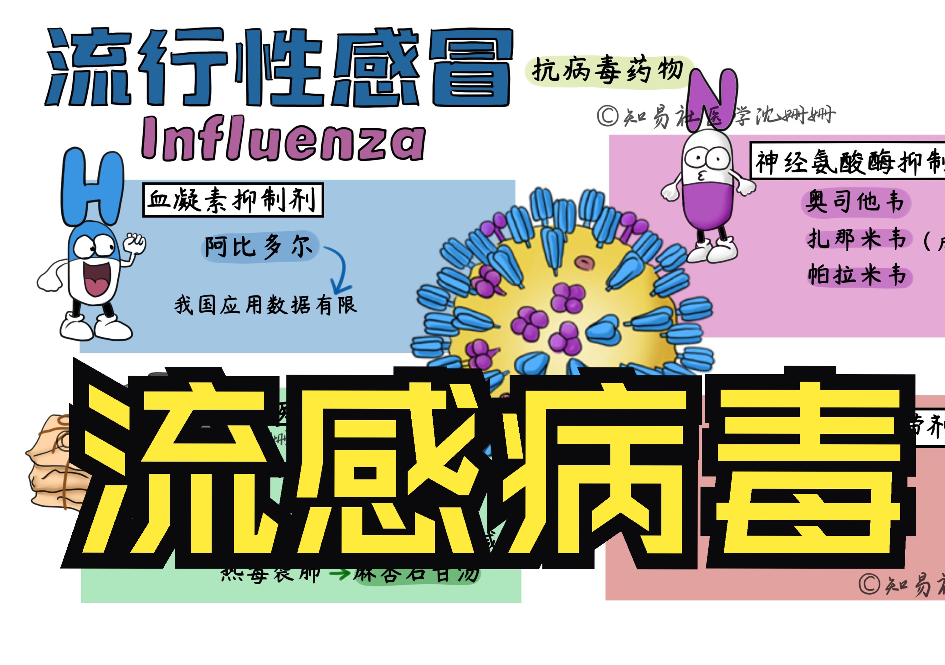 医学手绘精讲 |【流感病毒】结构+生命周期+症状+治疗药物