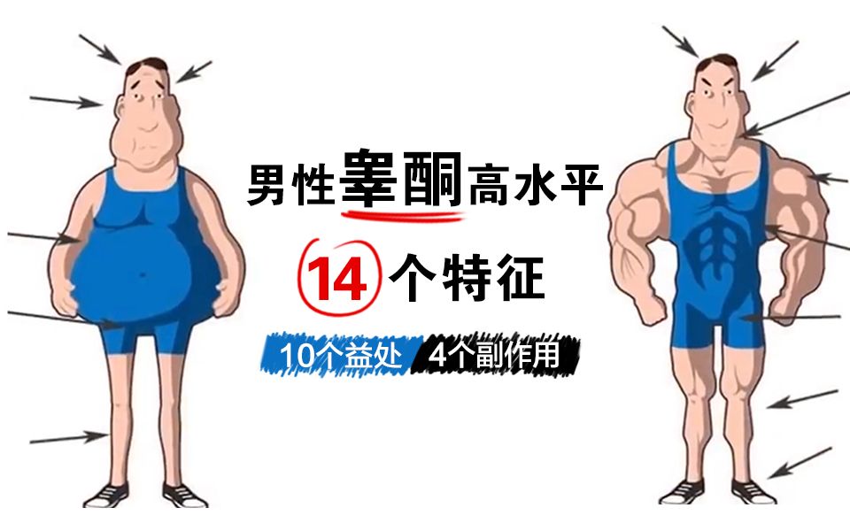 ...中文字幕丨健身男性必看:睾酮素高的14个特征——10益处/4副作用