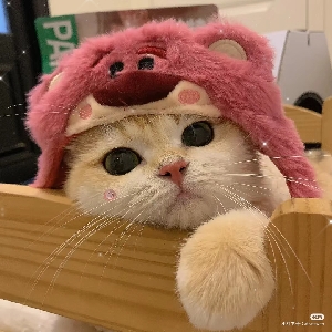 G-uuuuuuu 