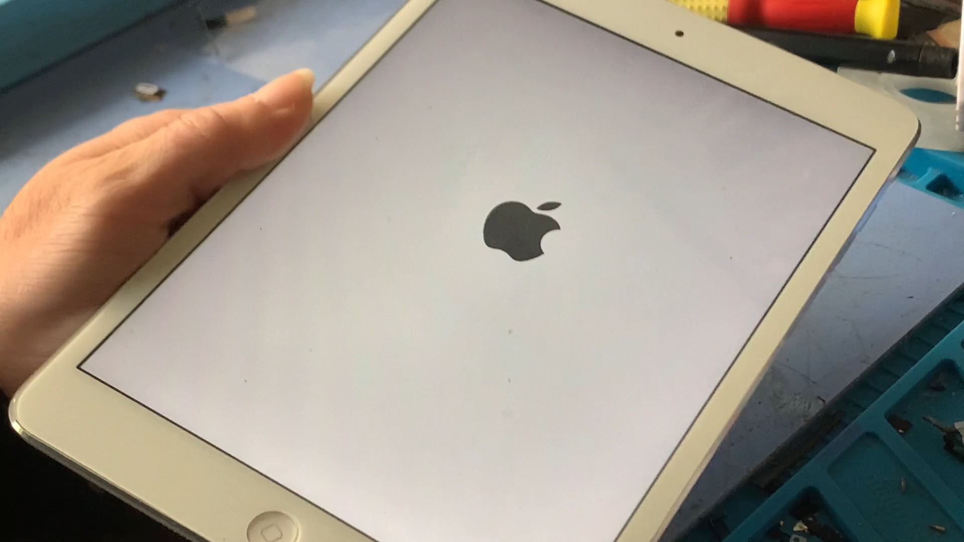 ipad mini2尾插松动,换尾插,换电池,修复home