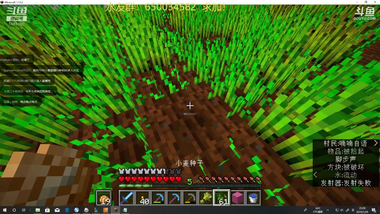 我的世界纯净生存:单村民农田毕业