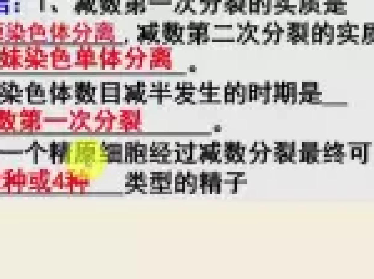 高一生物必修二减数分裂和受精作用(二)