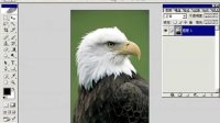 photoshop新建、复制与删除