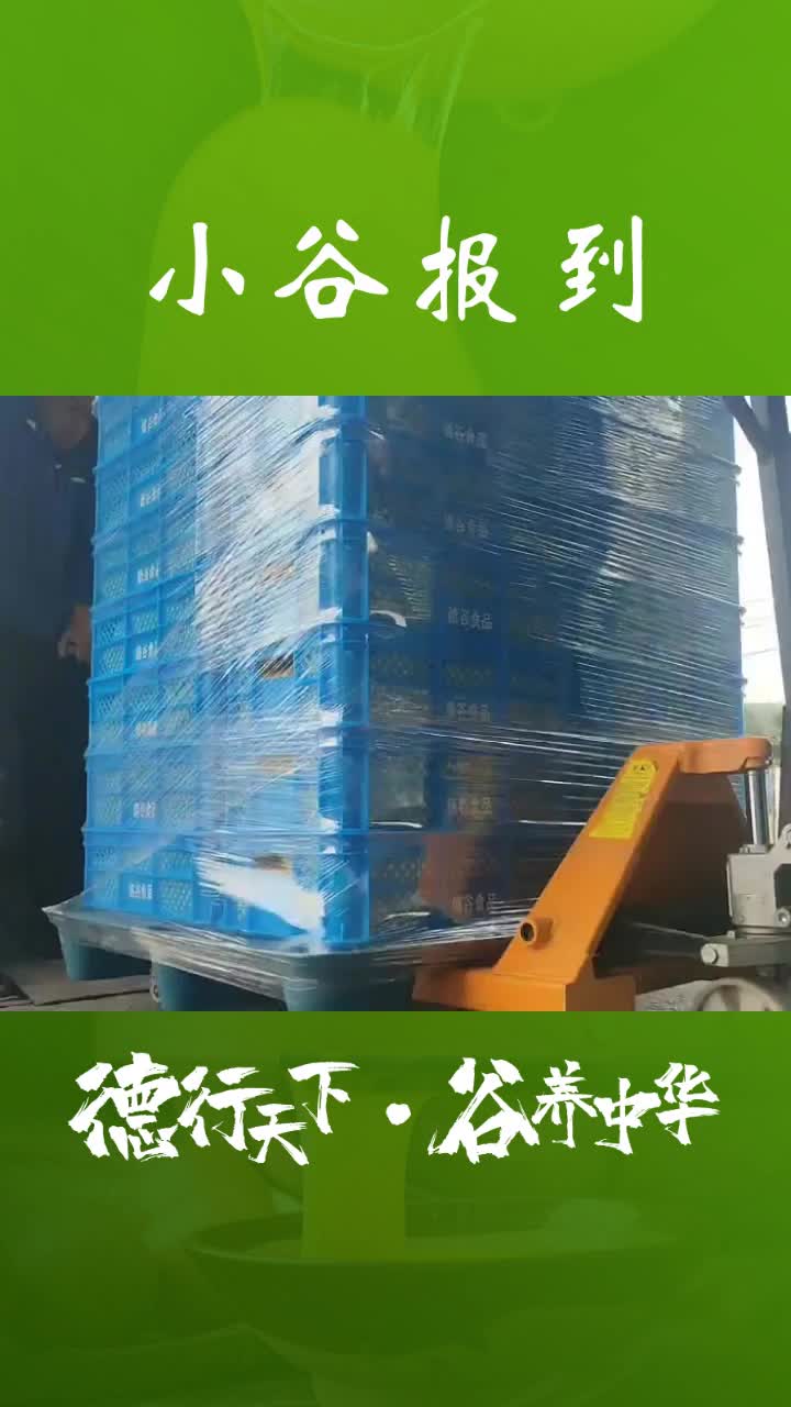 山东中央厨房用冷冻蛋白液,安徽月饼厂用土鸡蛋蛋液