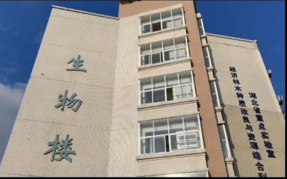 ...保护志愿服务队前往罗田县苍葭冲进行“暑期三下乡”社会实践活动
