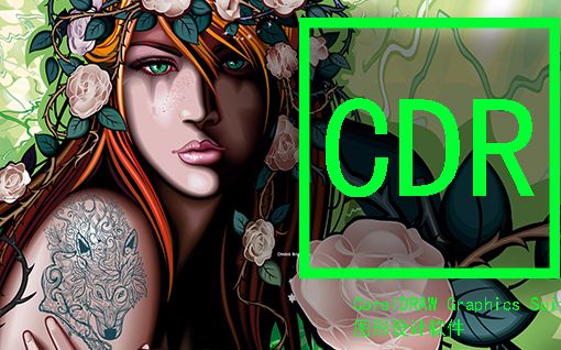 【搬运】CorelDRAW X4入门到精通视频教程（ 一天轻松搞定）CDR教程CDR学习CDR软件CDR矢量图形软件教程
