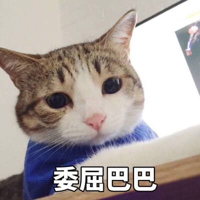 妄念-YX 