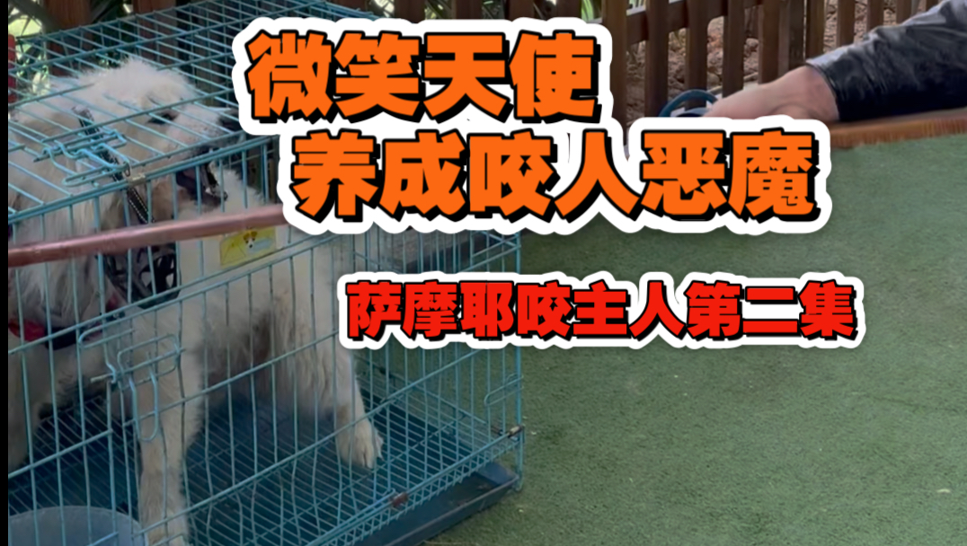 微笑天使养成咬人恶魔第二集