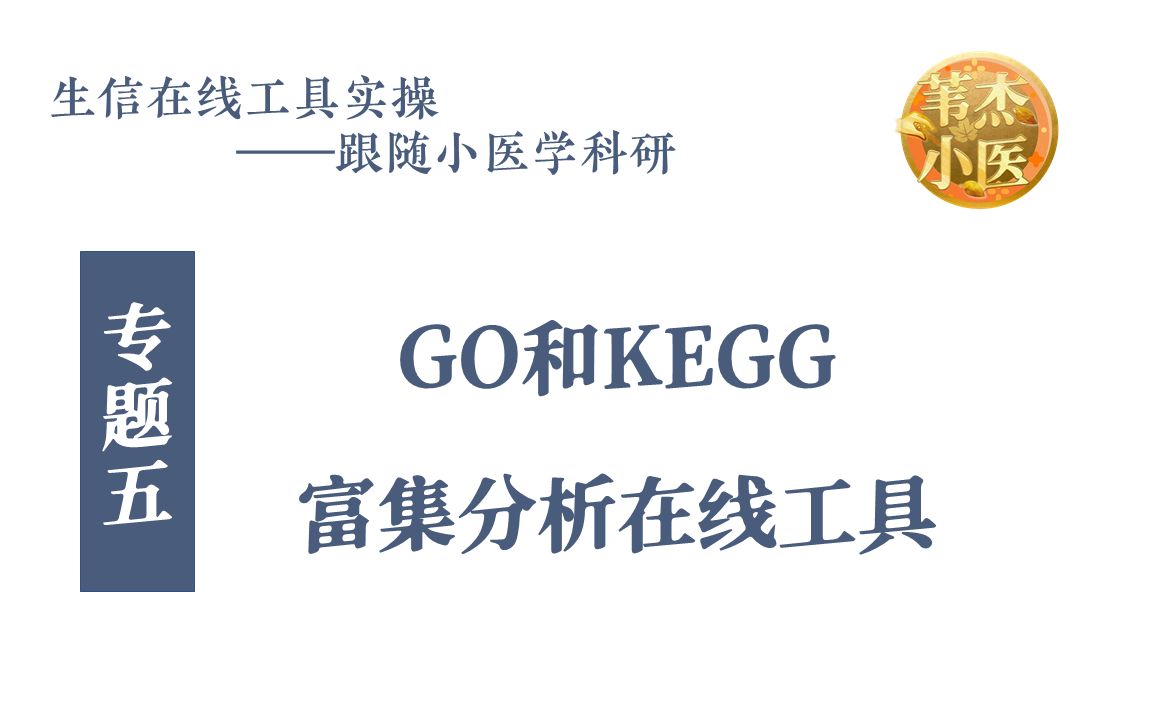 【生信在线工具】05 GO和KEGG富集分析在线工具