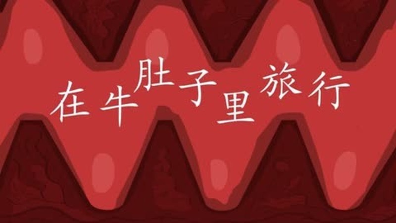 三年级上册语文012《在牛肚子里旅行》动画课文完整版