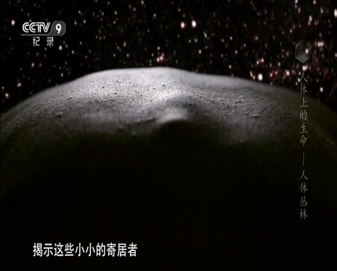 【央视纪录】人体上的生命【2集全】【国语中字】