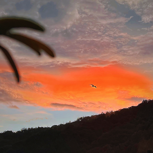 张公子的音乐公园 