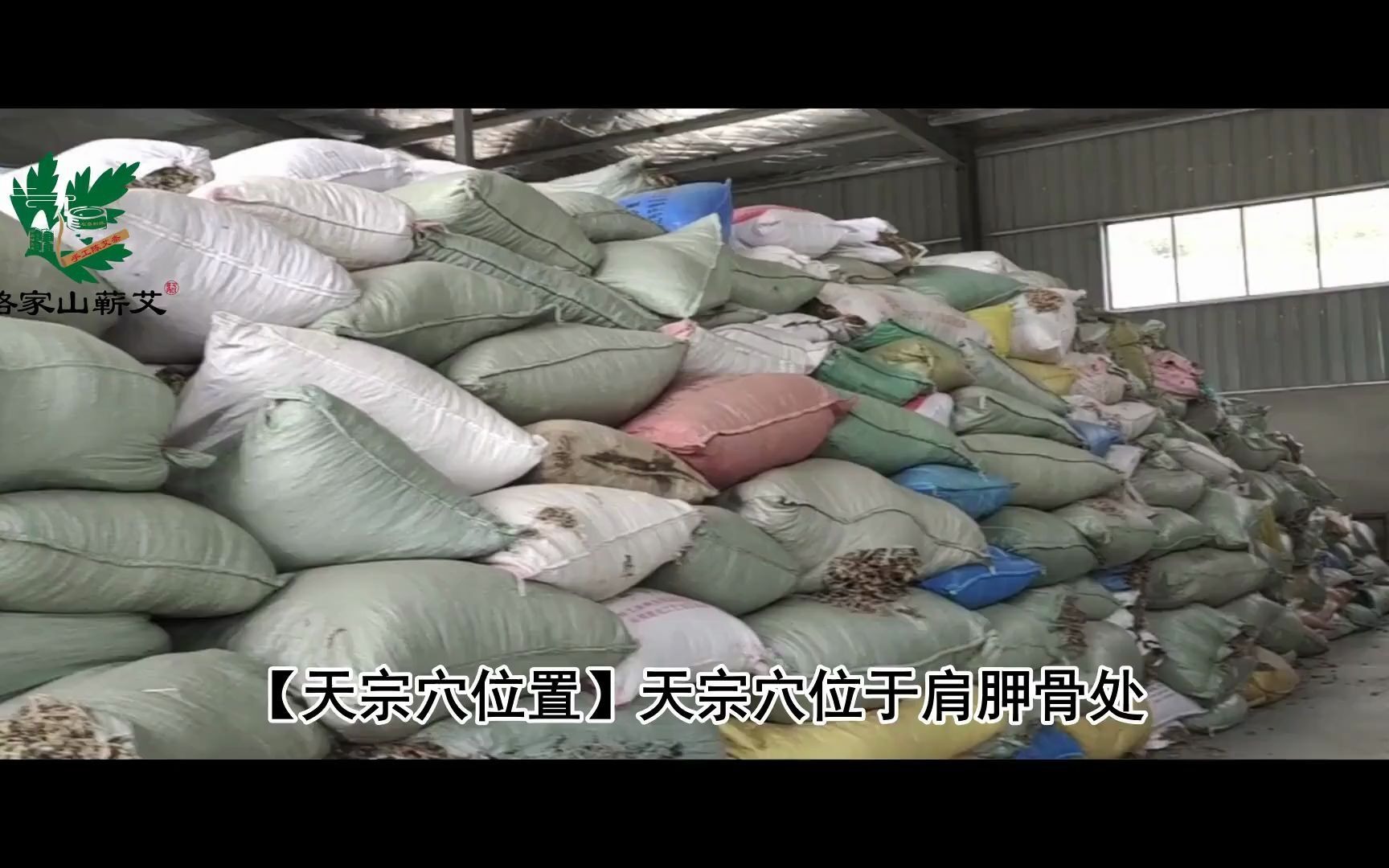 天宗穴位置作用与功效,各种疗法及注意事项_1艾灸热敷贴蕲春