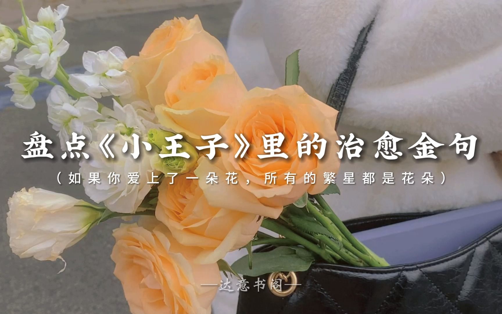 「小王子」的治愈金句|| 如果你爱上了一朵花,所有的繁星都是花朵