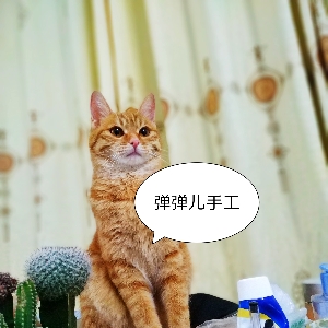 弹弹儿手工 