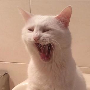 阿_昶 