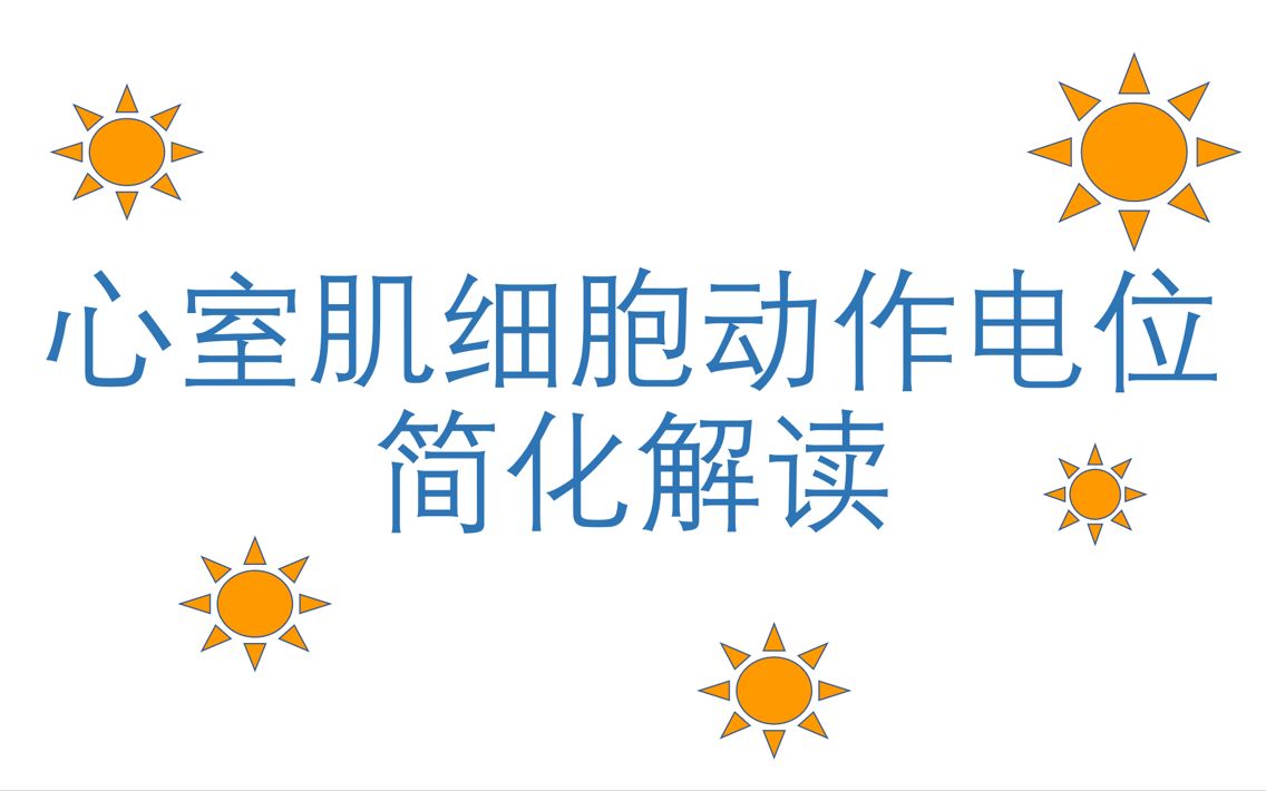 [生理学]心脏电生理简易过程
