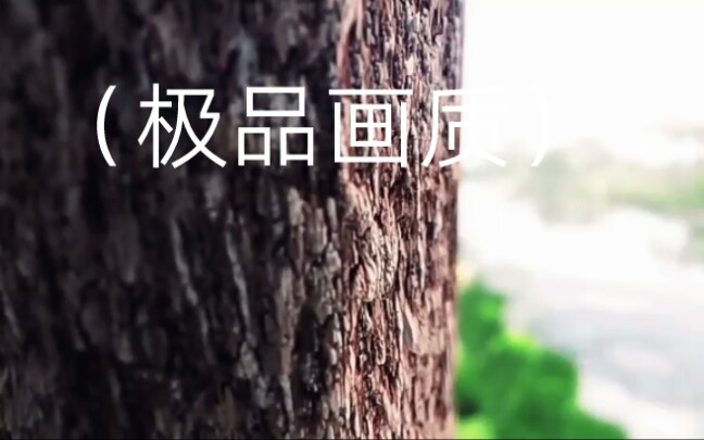 《我的世界》顶级画质_哔哩哔哩bilibili_我的世界