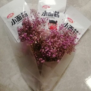 小尹2015 