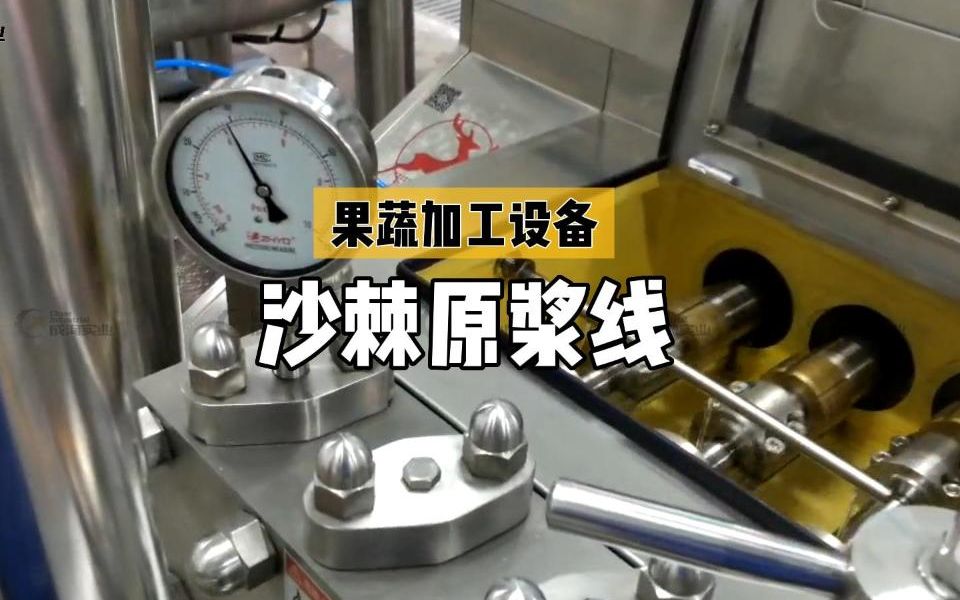 记录沙棘加工生产工艺!从新鲜沙棘到原浆灌装,实拍沙棘汁加工车间的...