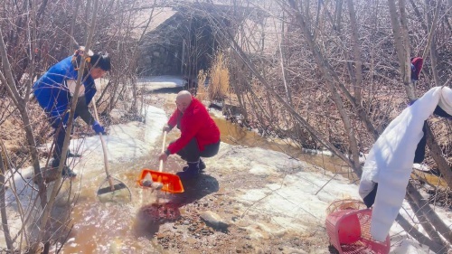 冰融化了,鱼竟开始从天而降了,这是什么神奇的景象?