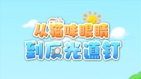 奇妙的仿生学:从动物到科技 第2集 从猫咪眼睛到反光道钉