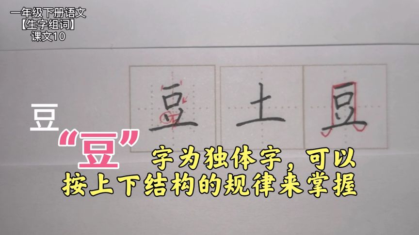 “豆”字为独体字,可以按上下结构的规律来掌握
