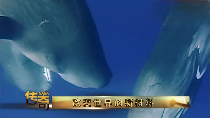 塑料袋的危害究竟有多大,26个塑料袋,就可以使一条鲸鱼身亡